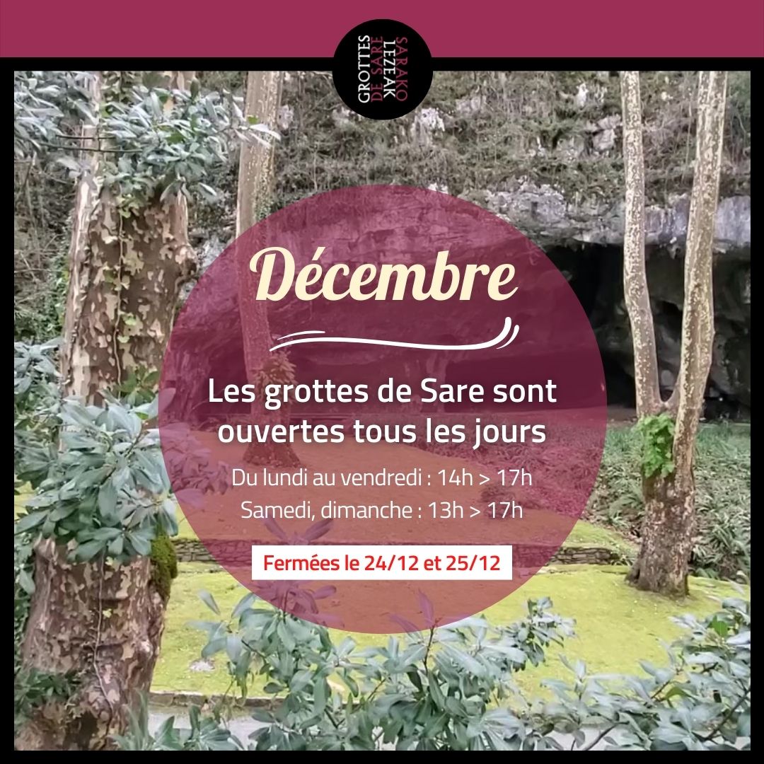 Grottes préhistoriques de Sare au Pays Basque - Sarako lezeak